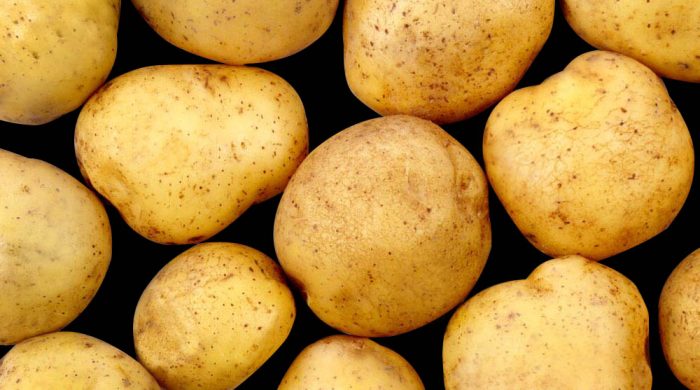 Pommes de terre à chair jaune | Ferme Valupierre