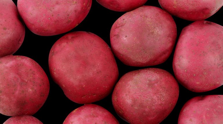 Red potatoes | Ferme Valupierre