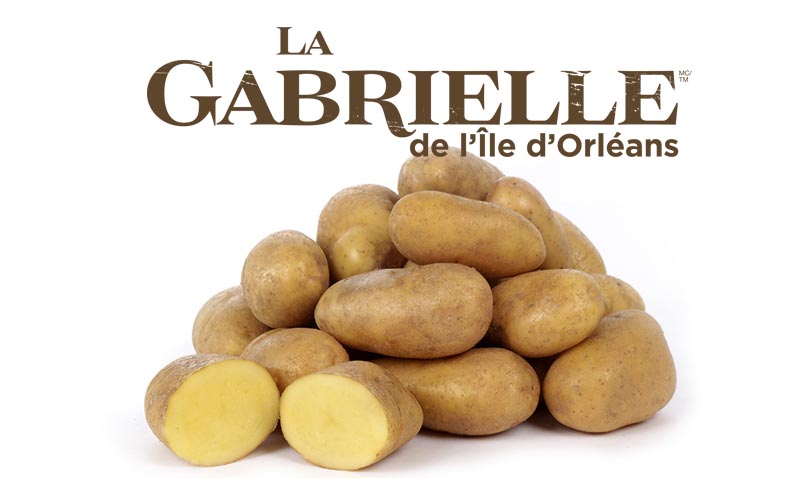 HOME | Ferme Valupierre